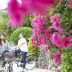Ishigaki Island: Blue Cave Snorkeling & Taketomi Sightseeing - Practical Details: What to Expect and How to Prepare