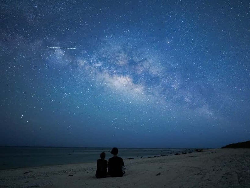 Ishigaki: Jungle Walk and Stargazing Night Tour - A More Detailed Look at the Experience