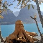 Iskandarkul Escape: 2Day FannMountains Adventure & LocalStay - What’s Included and What’s Not