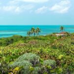Isla Contoy Eco Adventure - FAQ