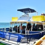Isla Contoy Incredible Tour! Round Transportation From Cancun & Playa Del Carmen - Authentic Experiences and Traveler Feedback