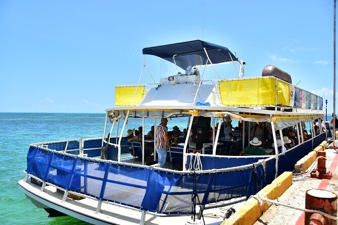 Isla Contoy Incredible Tour! Round Transportation From Cancun & Playa Del Carmen - Authentic Experiences and Traveler Feedback