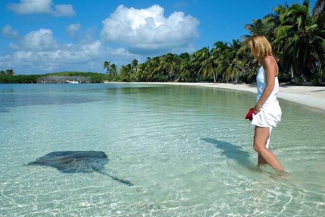 Isla Contoy & Isla Mujeres Tour from Cancun & Playa Del Carmen - Is This Tour Worth It?