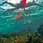 Isla Mujeres All Inclusive from Playa del Carmen - Why This Tour Stands Out