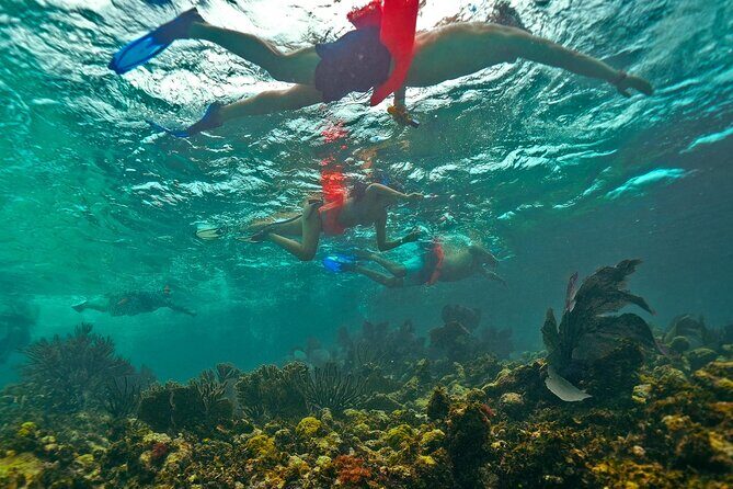 Isla Mujeres All Inclusive from Playa del Carmen - Why This Tour Stands Out