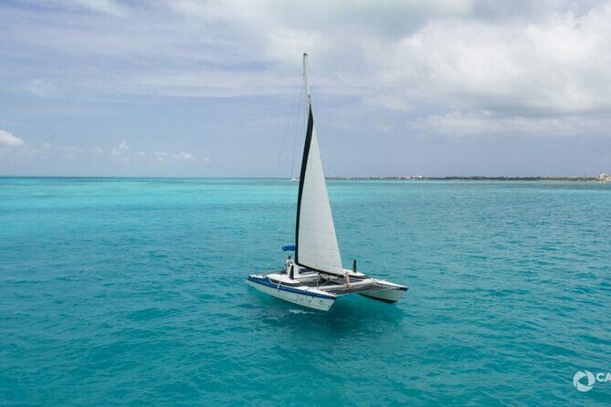 Isla Mujeres Basic Catamaran Tour with Snorkeling and Open Bar - The Good, the Bad, and the Practical