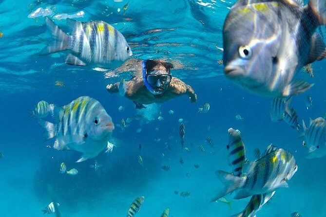 Isla Mujeres Catamaran Adventure All Inclusive from Cancun - The Journey to Isla Mujeres