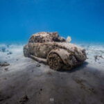 Isla Mujeres: MUSA and the Manchones Reef: 2 Tank Dive Tour - What’s Included and What You’ll Need to Know