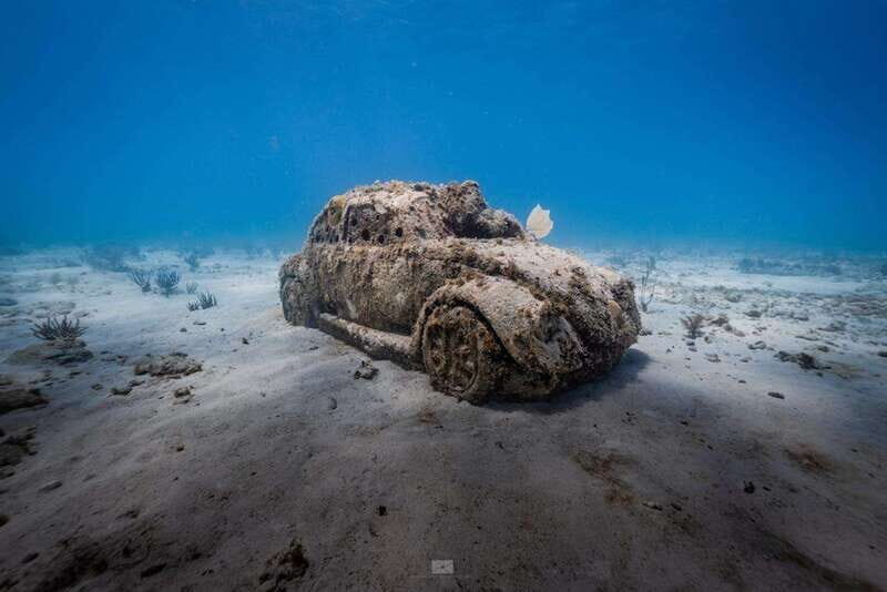 Isla Mujeres: MUSA and the Manchones Reef: 2 Tank Dive Tour - What’s Included and What You’ll Need to Know
