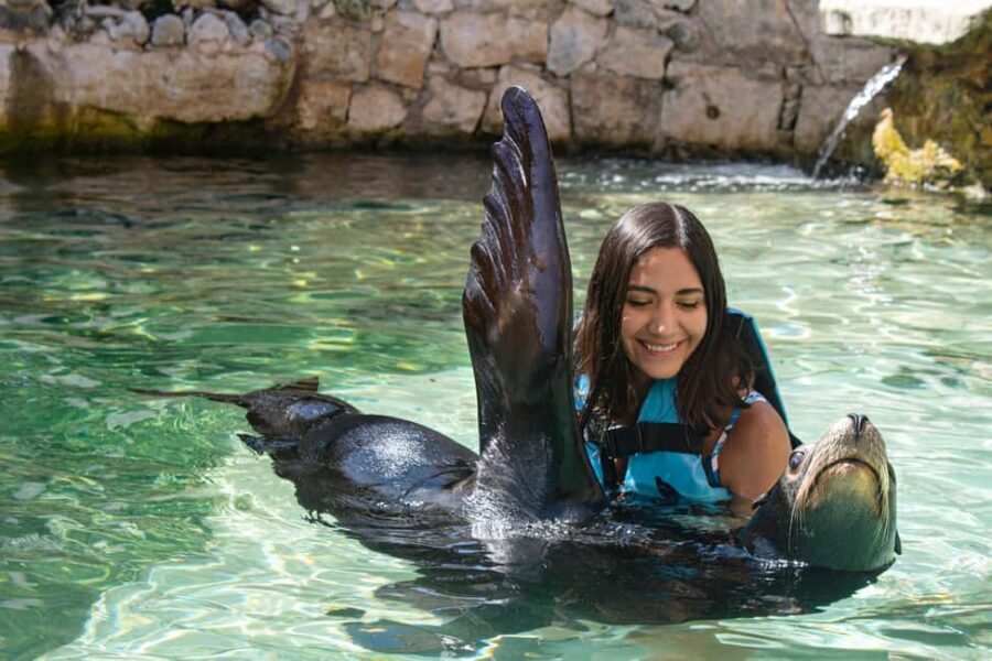 Isla Mujeres: Sea Lion & Manatee Interaction with Buffet - Important Details and Practical Tips