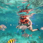 Isla Mujeres: Snorkeling Adventure at the Underwater Museum - Final Thoughts