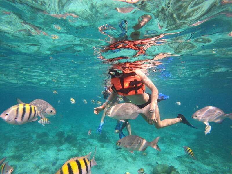 Isla Mujeres: Snorkeling Adventure at the Underwater Museum - Final Thoughts