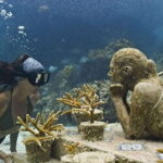 Isla Mujeres: Snorkeling in Underwater Museum - The Deep Dive: Why It Works for Travelers