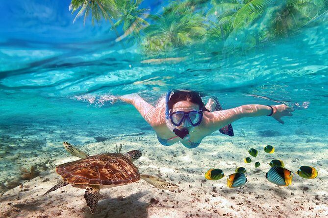 Isla Mujeres tour in a Catamaran with snorkel, open bar, lunch - Snorkeling at one of Cancun’s Best Reefs