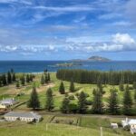 Island Orientation Tour with Airport Transfer Norfolk Island - What You’ll See and Experience: A Step-by-Step Breakdown