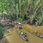 Island Tour to Mekong Delta Day Tours Vietnam My Tho and Ben Tre - What Makes This Tour Stand Out