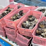 Itoshima Nature Tour with Oyster - Who Should Consider This Tour?