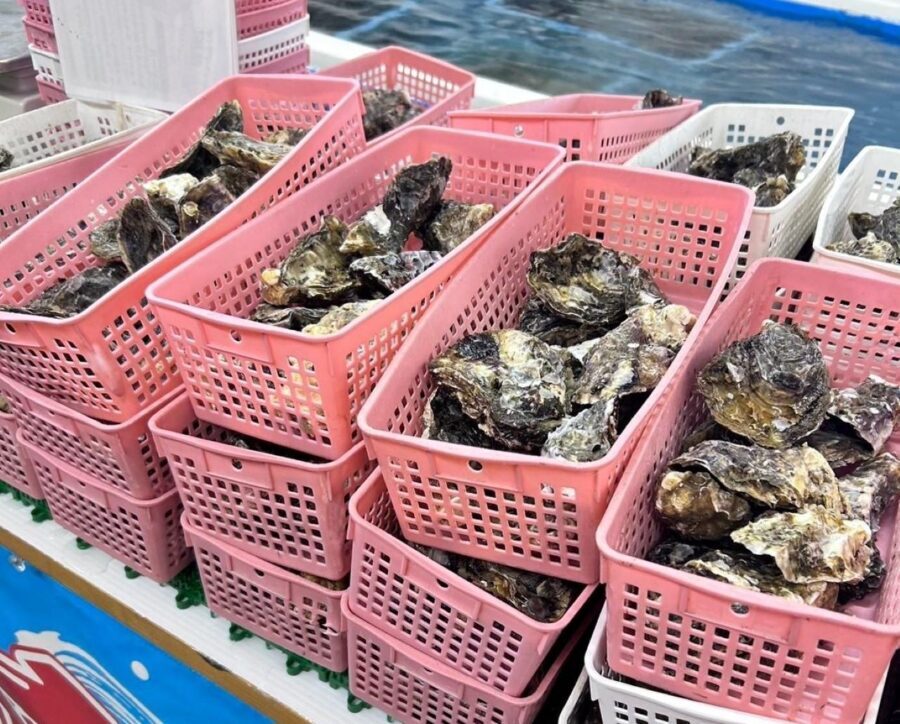 Itoshima Nature Tour with Oyster - Who Should Consider This Tour?