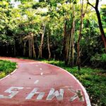 Ixtapa bike tour - FAQ About the Ixtapa Bike Tour