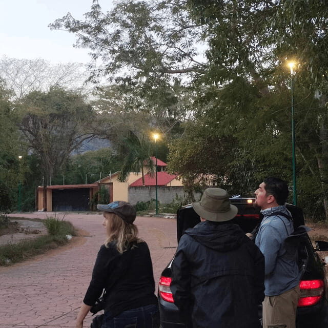Ixtapa: Bird Watching Tour with Round-Trip Transportation - What to Expect and Practical Tips