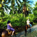 Ixtapa: Horseback Riding Tour Along Playa Larga - What’s Included and How It Works