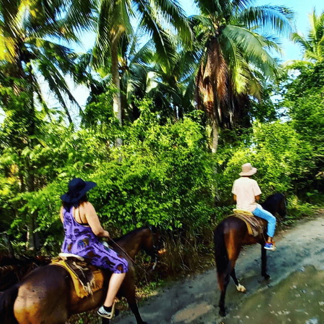 Ixtapa: Horseback Riding Tour Along Playa Larga - What’s Included and How It Works