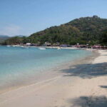 Ixtapa: Las Gatas Beach Adventure - Deep Dive: What Makes This Tour Stand Out