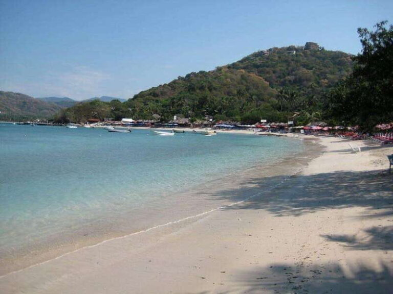 Ixtapa: Las Gatas Beach Adventure - Deep Dive: What Makes This Tour Stand Out