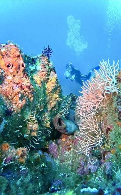 Ixtapa: Scuba Diver Course - A Detailed Look at the Itinerary