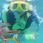 Ixtapa: Snorkeling Tour to Ixtapa Island - Snorkeling in the Pacific: What to Expect