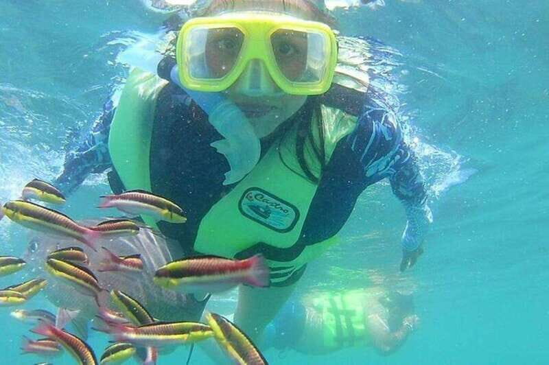 Ixtapa: Snorkeling Tour to Ixtapa Island - Snorkeling in the Pacific: What to Expect