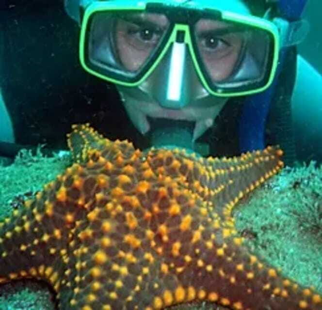 Ixtapa: Underwater Adventures in Zihuatanejo - Why This Tour Works for Travelers