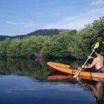 Ixtapa-Zihuatanejo: Barra de Potosi Scenic Lagoon Tour - Transportation, Duration, and Group Experience