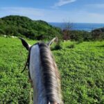 Ixtapa-Zihuatanejo: Horseback Riding Tour - Who Should Consider This Tour?