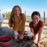 Ixtapa-Zihuatanejo: Turtle Release Tour. - Key Points