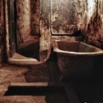 J Ward Lunatic Asylum Ghost Tour - Practical Tips for Your Visit