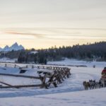 Jackson Hole: Dogsledding Tour with Hot Chocolate - A Closer Look at the Experience