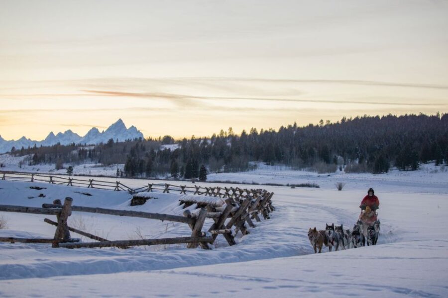Jackson Hole: Dogsledding Tour with Hot Chocolate - A Closer Look at the Experience