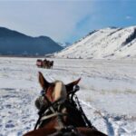 Jackson Hole: National Elk Refuge Sleigh Ride - The Wildlife and Scenery Highlights