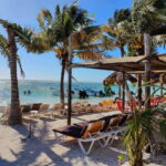 Jaimes at the blue Reef all you can eat + drinks - In-Depth Breakdown of the Experience