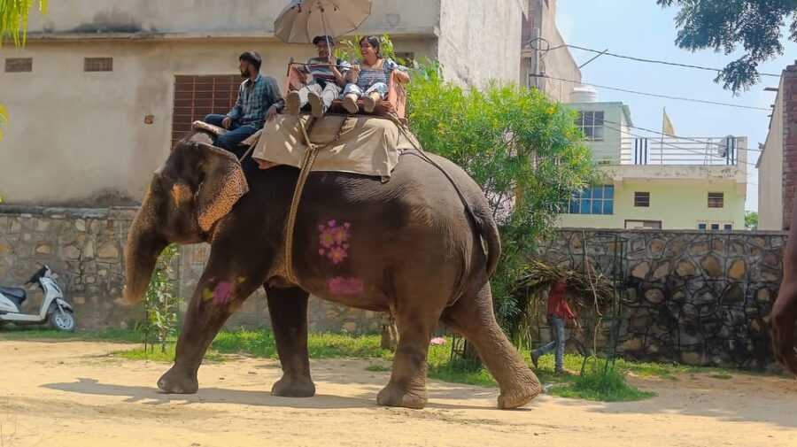 Jaipur 2 Day Private Tour With Guide - Who Should Consider This Tour?