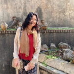 Jaipur City Tour and Nahargarh Sunset by Tuk-Tuk - Why This Tour Offers Great Value