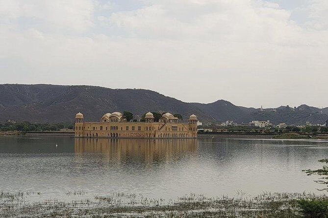 Jaipur: Full Day Private tour with professional guide by Car - Detailed Review of the Jaipur Full-Day Private Tour