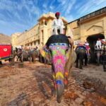 Jaipur: Full-Day Sightseeing Tour By Car with Guide - The Value of a Guided Private Tour