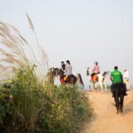 Jaipur Horse Riding Adventure - Final Thoughts