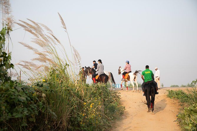 Jaipur Horse Riding Adventure - Final Thoughts