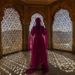 Jaipur: Jaipur & Amber Fort Full or Half-Day Guided Tour - What’s Included and What’s Not
