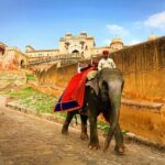 Jaipur: Private Full-Day City Tour by Tuk-Tuk or Car - Limitations and Considerations