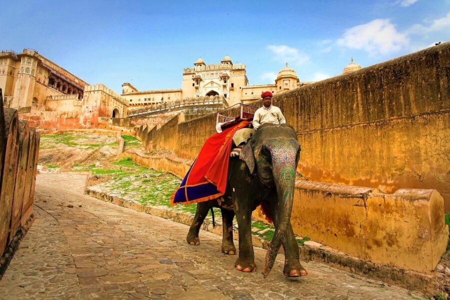 Jaipur: Private Full-Day City Tour by Tuk-Tuk or Car - Limitations and Considerations