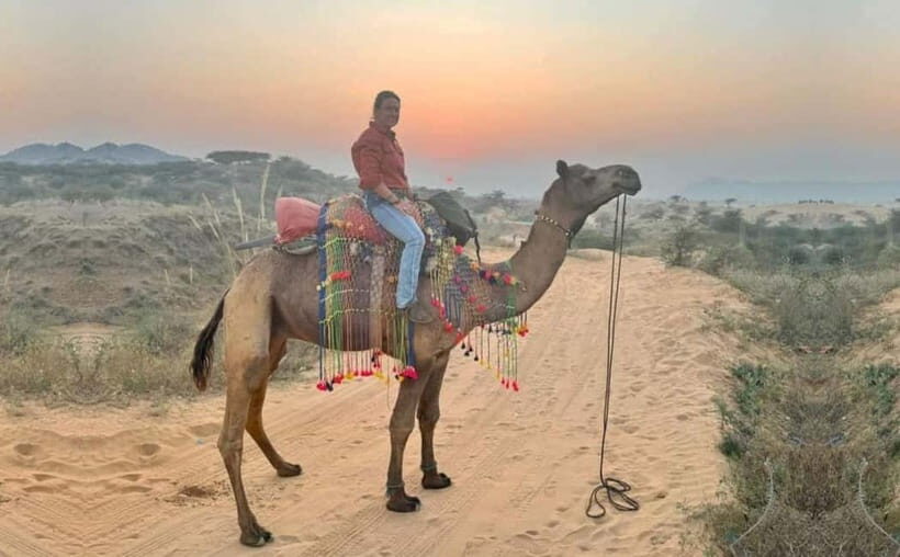 Jaipur: Pushkar Day Trip with Optional Camel Safari - Practical Details and Tips for Travelers